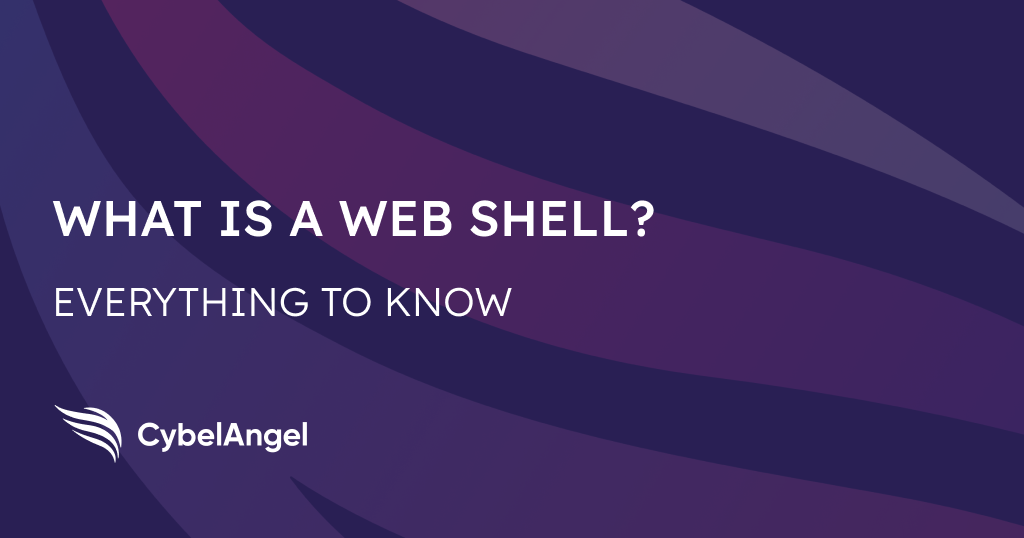What is a Web Shell? C99 Explained