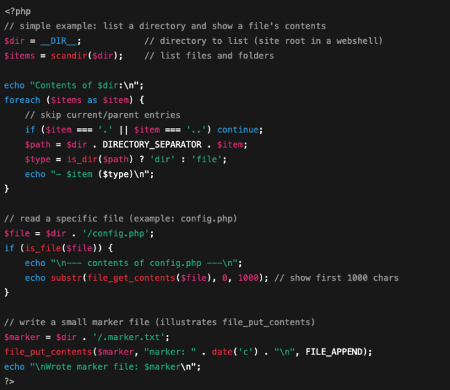 What is a Web Shell? C99 Explained