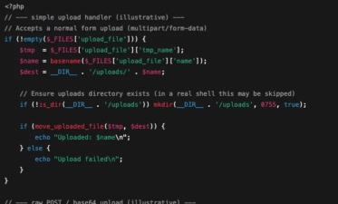 What is a Web Shell? C99 Explained
